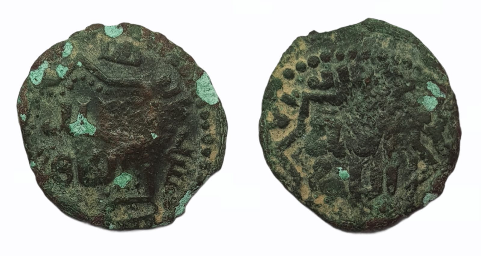 Ayyubid AE Halab? AH 6?? al-Zahir Ghazi | Islamic Coins