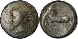 Horses on Ancient coins - VCoins online coin dealers