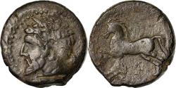 Horses on Ancient coins - VCoins online coin dealers