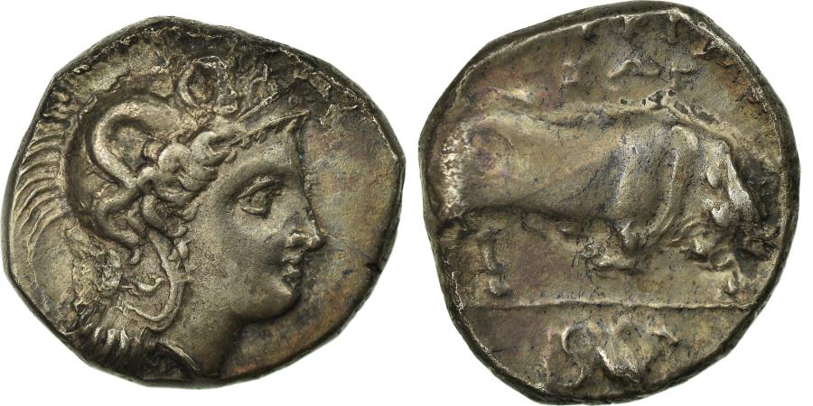 Coin, Lucania, Thourioi, Athena, Stater, Thourioi, AU(50-53), Silver