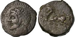 Horses on Ancient coins - VCoins online coin dealers