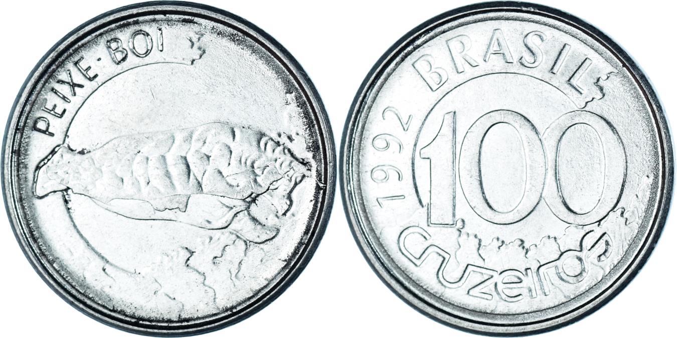 Coin, Brazil, 100 Cruzeiros, 1992 | South American Coins