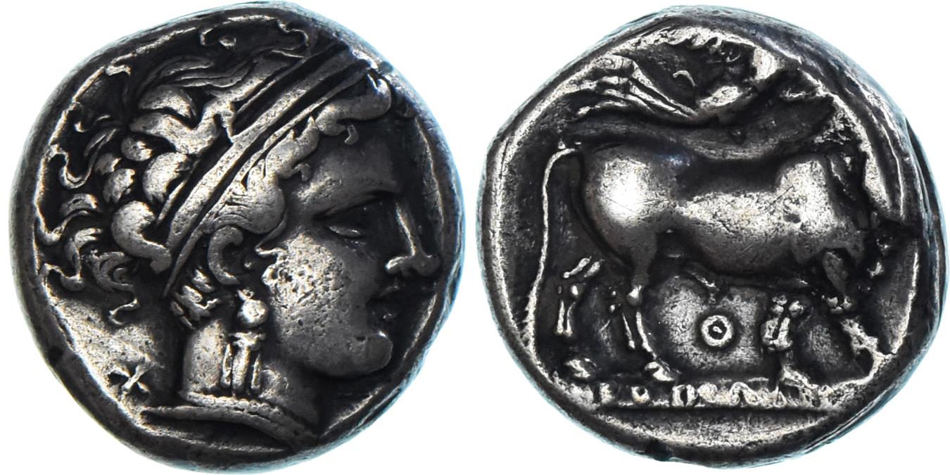 Coin, Campania, Didrachm, ca. 340-317 BC, Neapolis, , Silver | Greek Coins