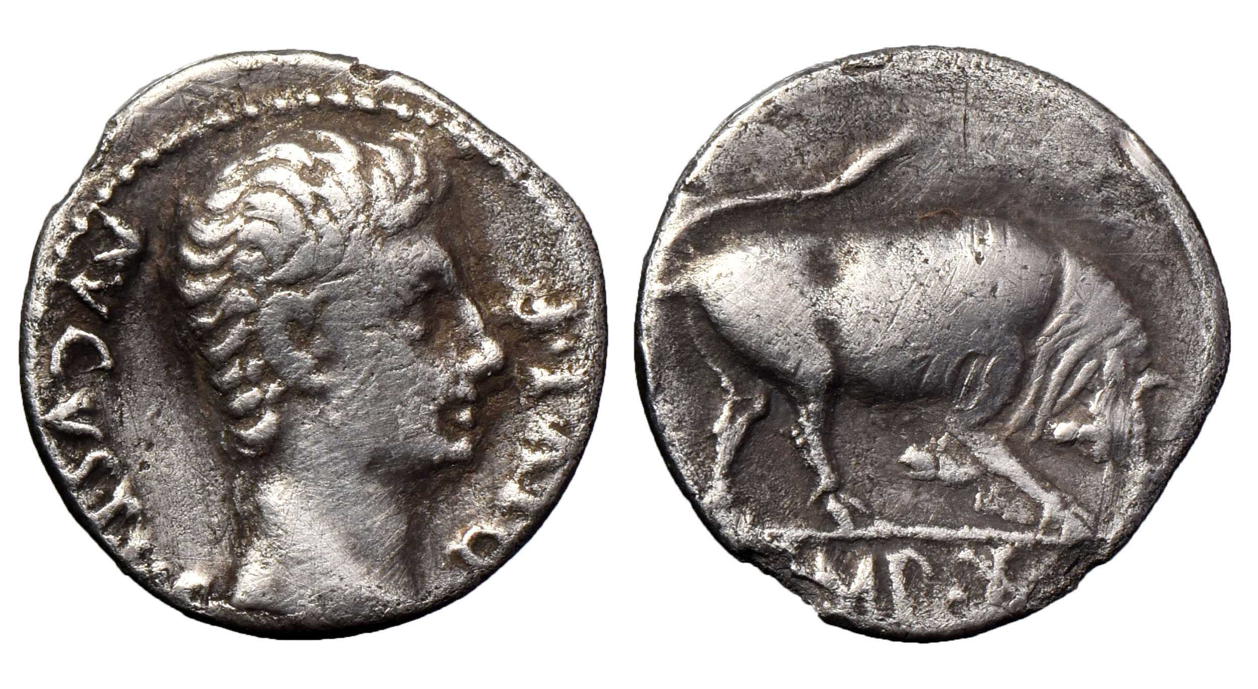 AUGUSTUS. AR. Denarius. Angry bull. 14-12 BC | Roman Imperial Coins