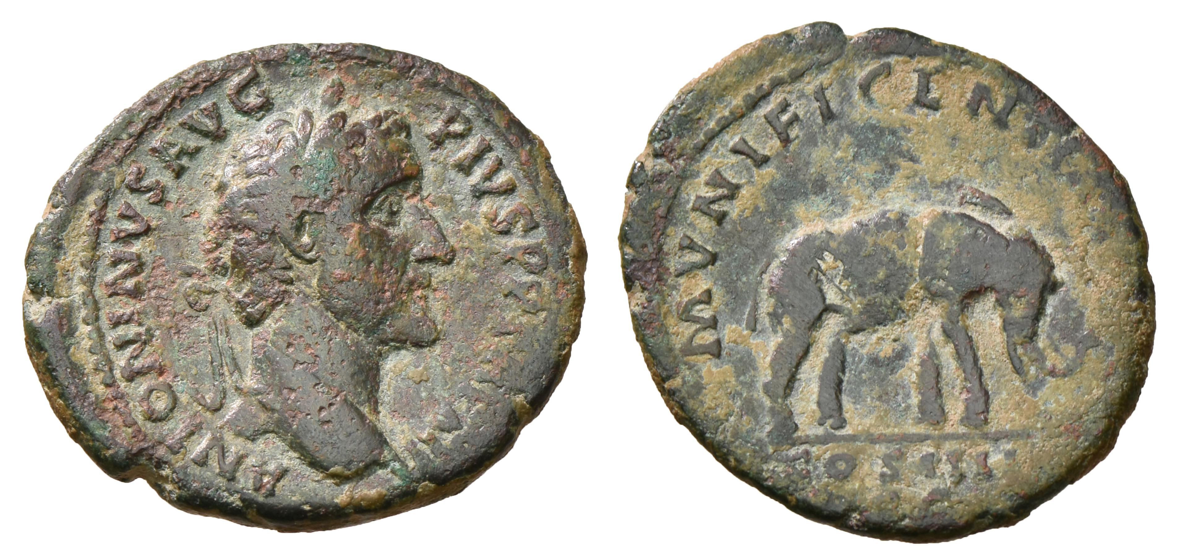 ANTONINUS PIUS. Æ. As. ELEPHANT. 149-150 AD | Roman Imperial Coins