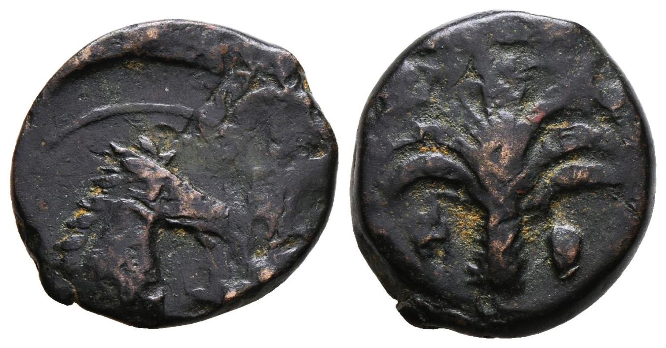 CARTHAGE. North Africa. Ae 20. Circa 400-350 BC. Head horse and Palm ...