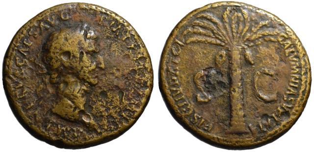 Nerva AE sestertius - FISCI IUDAICI Palm tree - Very Rare | Roman ...