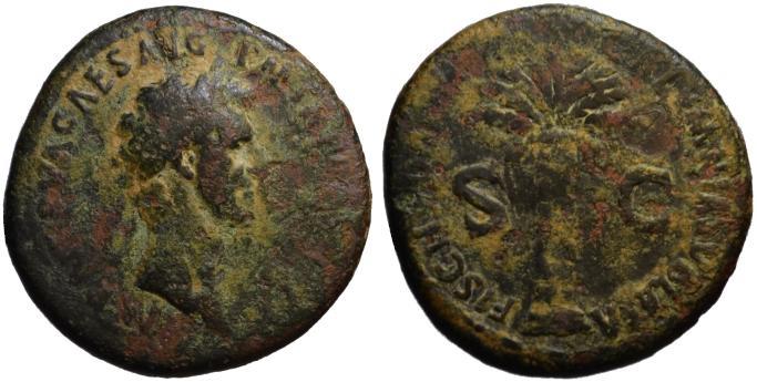 Nerva AE sestertius - FISCI IUDAICI Palm tree - Very Rare | Roman ...