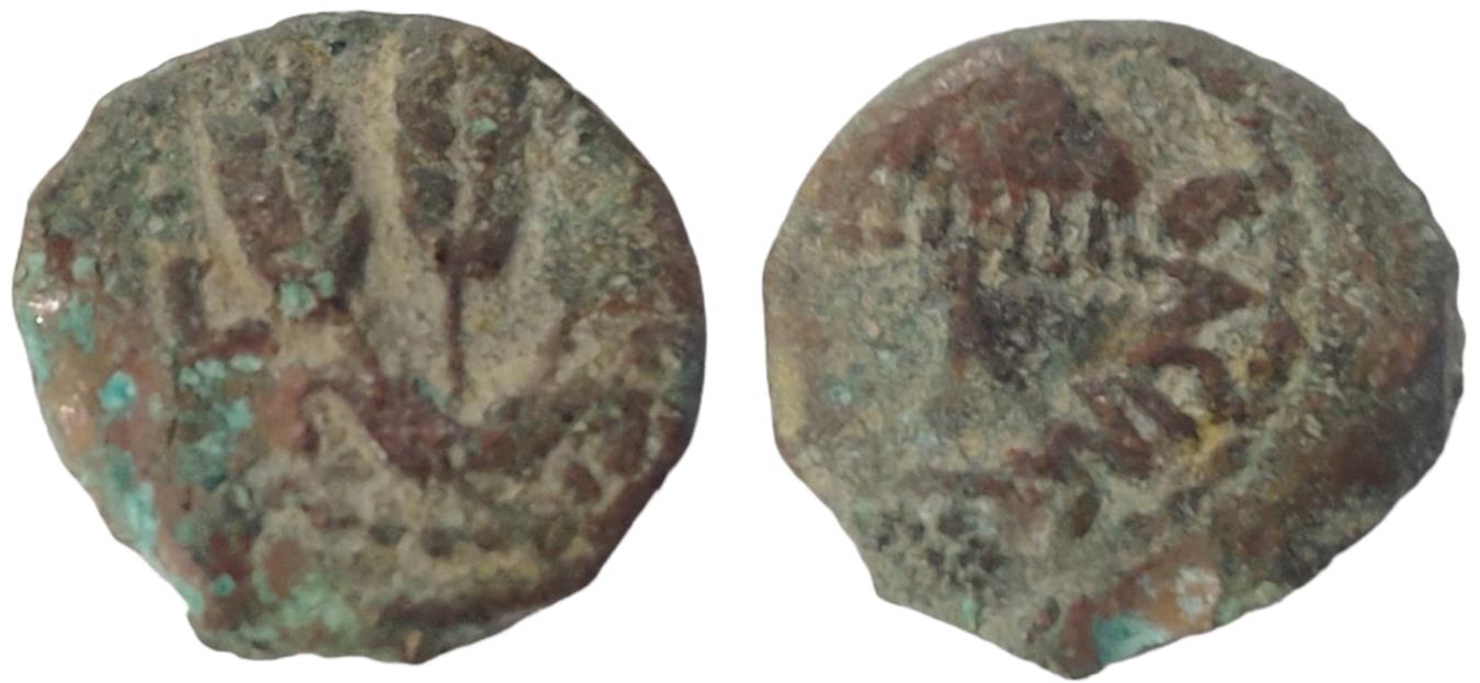 Judaea, Herodians. Agrippa I. 37-43 AD. Æ Prutah | Greek Coins
