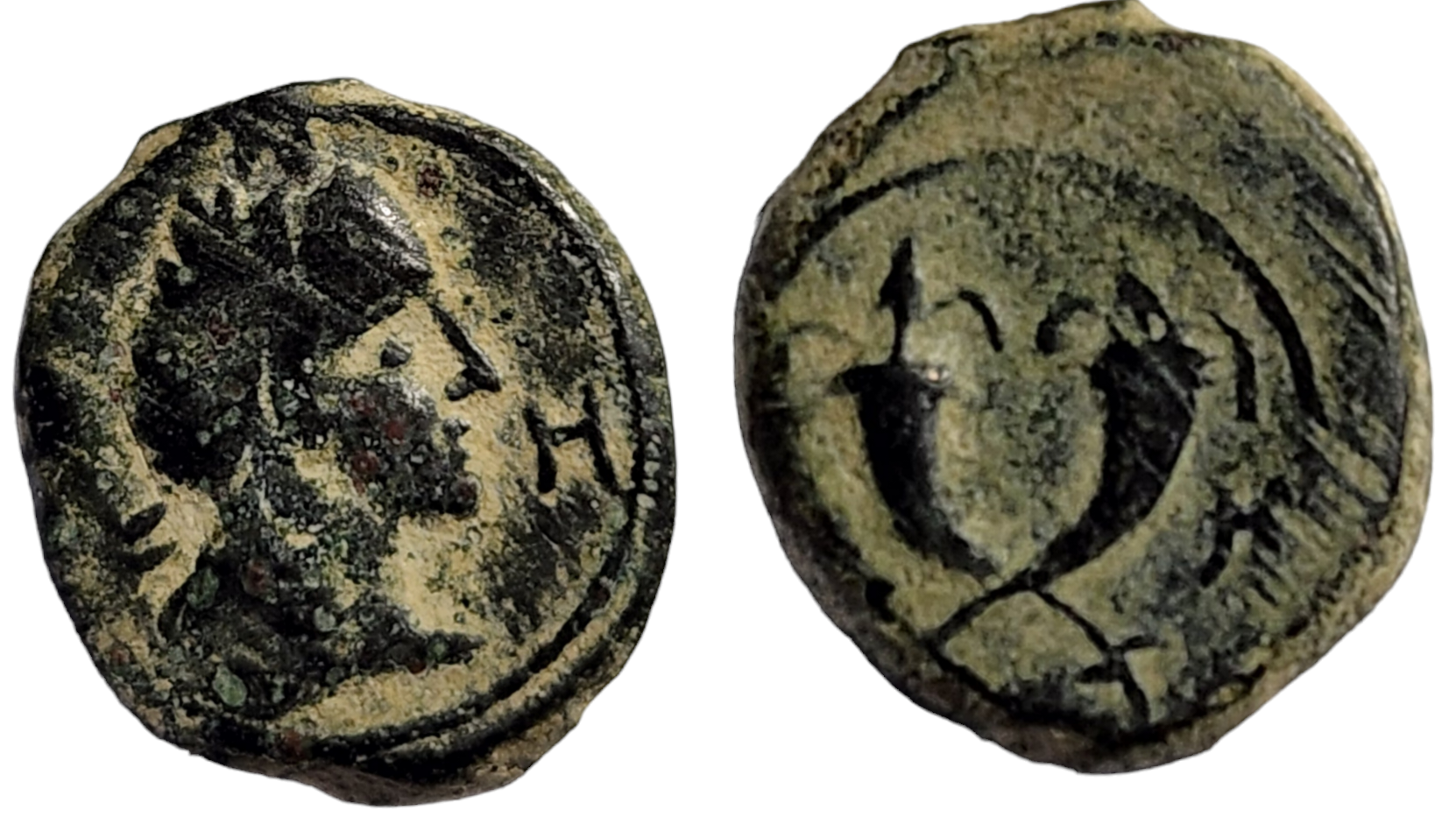 NABATAEA. Syllaeus and Aretas IV. 9-6 BC. Æ | Greek Coins