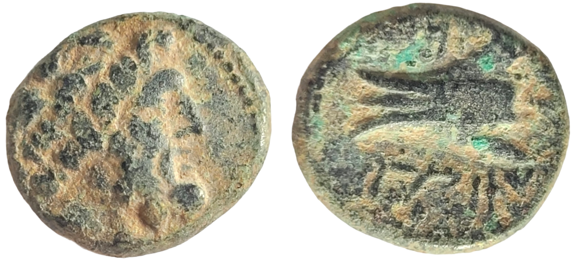 Phoenicia. Arados Æ16 / Ram of Galley | Greek Coins