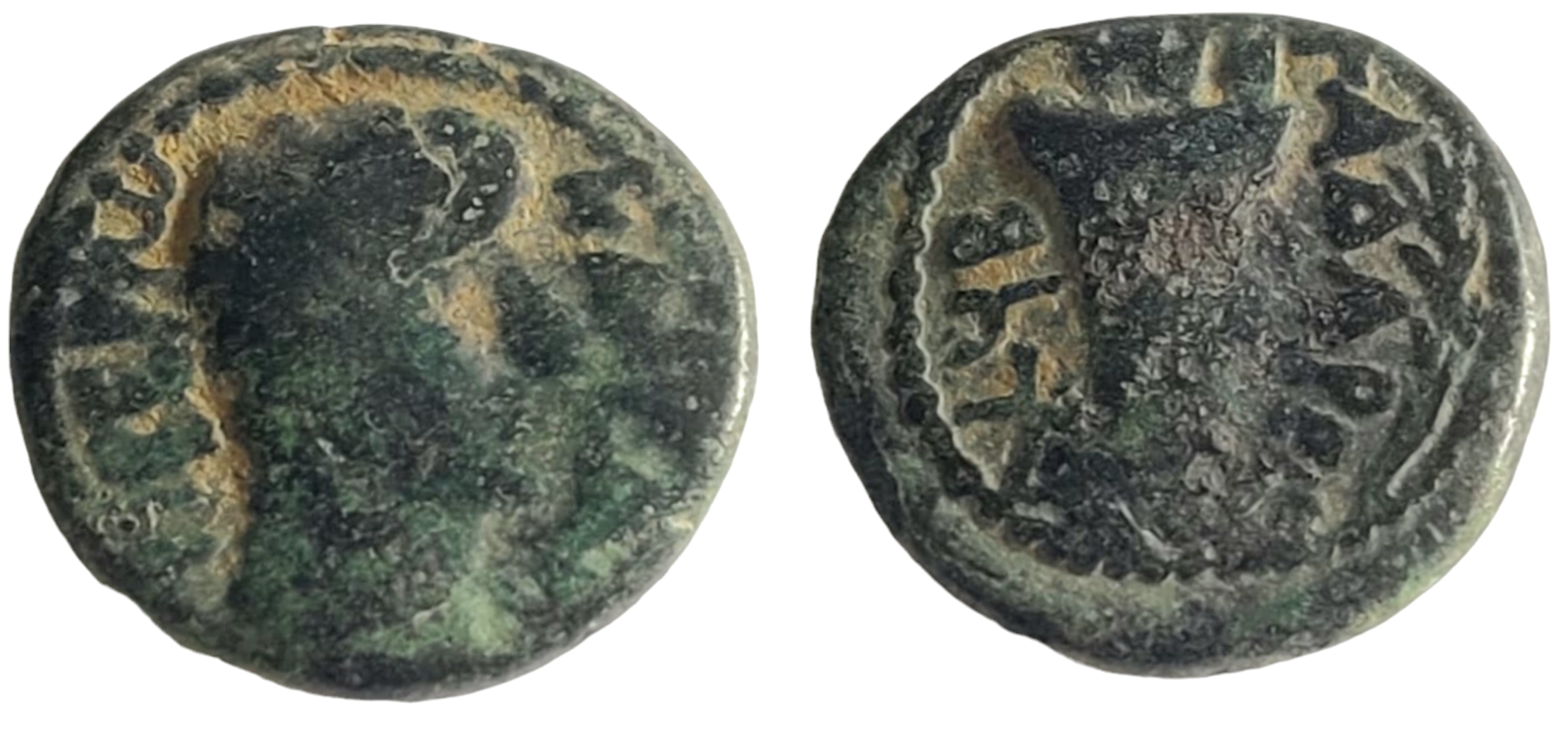 DECAPOLIS, Gadara. Tiberius. AD 14-37. Æ | Greek Coins