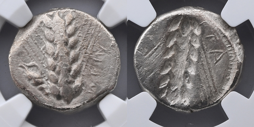 GREEK: Lucania, Metapontum, c. 470-440 BC, AR Stater (18mm), NGC Choice VF