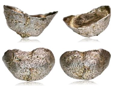 China, tael 1875–1908 | Asian and Middle Eastern Coins