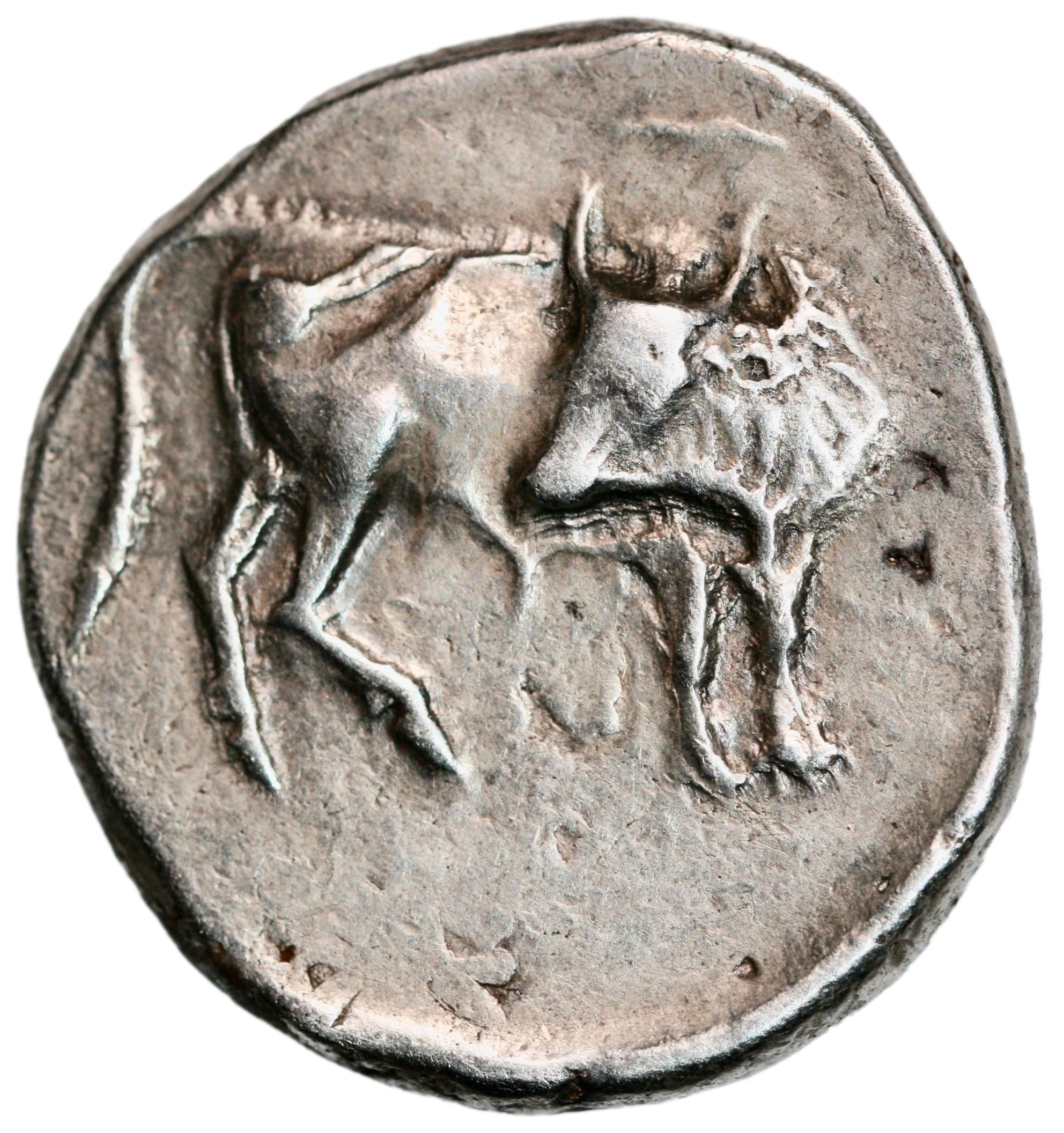 Statér from Gortyna in Crete (ca. 330-270 BC) | Greek Coins