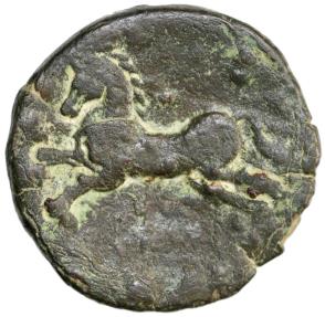 Numidia, bronze coin (ca. 148-118 BC) | Greek Coins