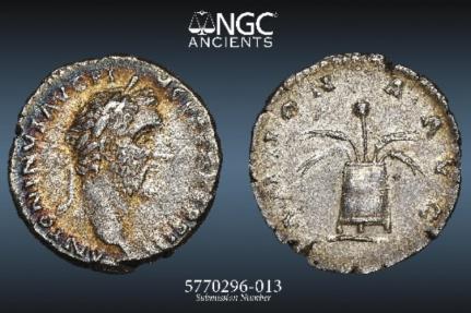 ANTONINUS PIUS - (138-161). Denarius. Rome. Modius with four grain ears ...