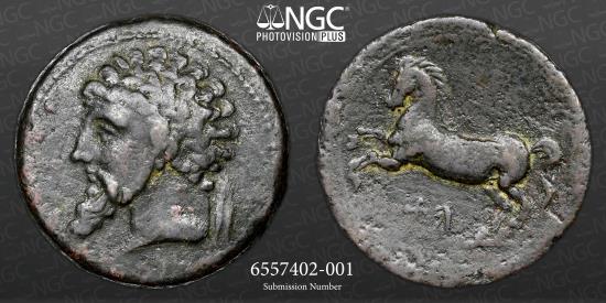 Kings of Numidia, Massinissa or Micipsa NGC VF 5/5 3/5 - AE 27mm 13.55g ...
