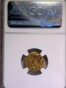 CELTIC - Ambiani - Gold Stater (60-50 BC) – NGC VF 3/5 3/5 - A ...