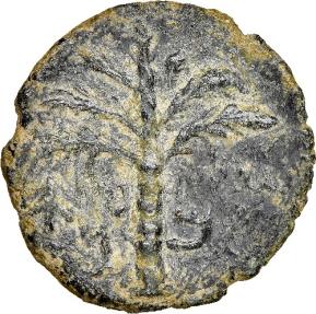 Judaea, Bar Kokhba Revolt. - AE Small Bronze, 17 mm (2.60 g), 132-135 CE. Undated, attributed to ...