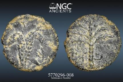 Judaea, Bar Kokhba Revolt. - AE Small Bronze, 17 mm (2.60 g), 132-135 CE. Undated, attributed to ...