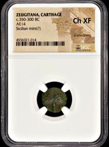 ZEUGITANA, CARTHAGE Sicily “Pegasus“ NGC Ch EF, “Pegasus“ 350-300 BC ...