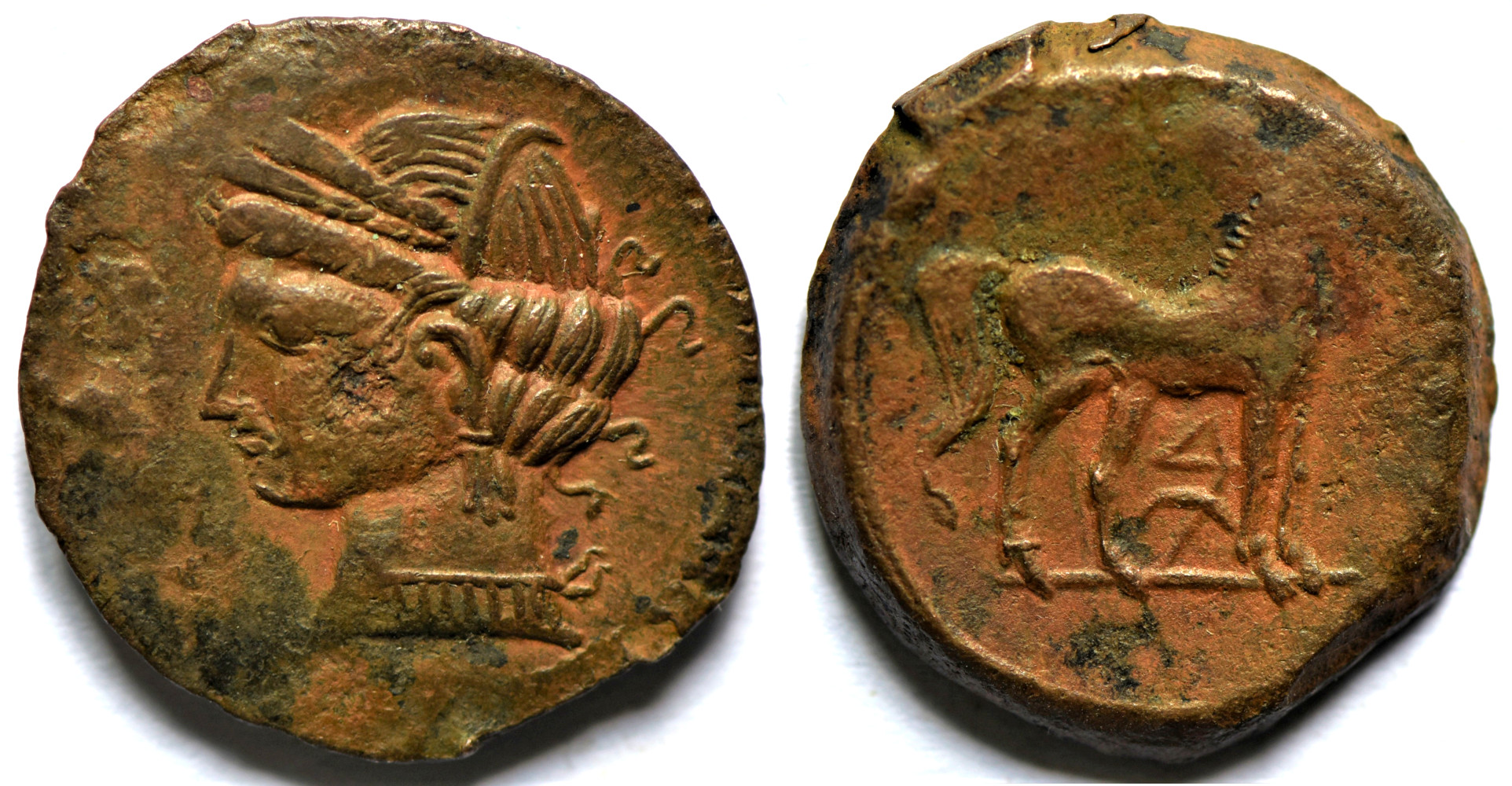 Punic Bronze Shekel Carthage , c. 264-241 BC; AE (g 7.12; mm 23).