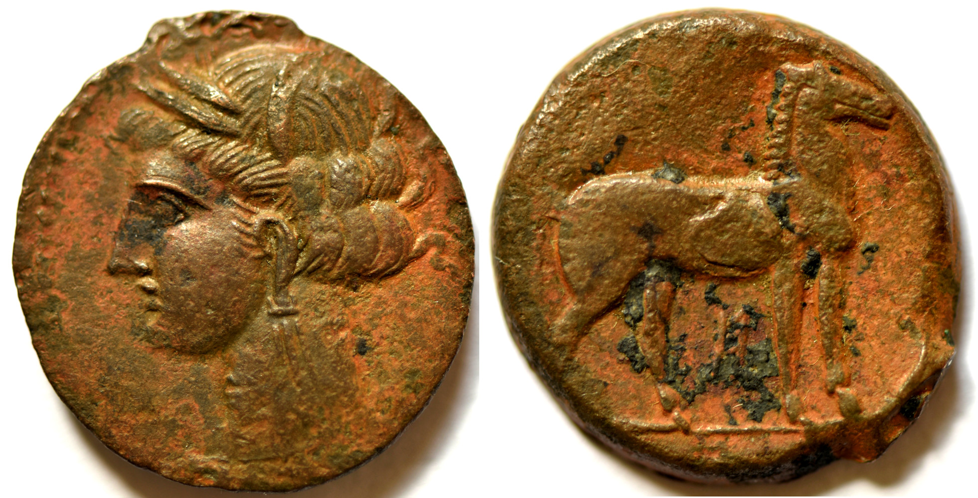 Punic Bronze Shekel Carthage , c. 264-241 BC; AE (g 7.13; mm 22).