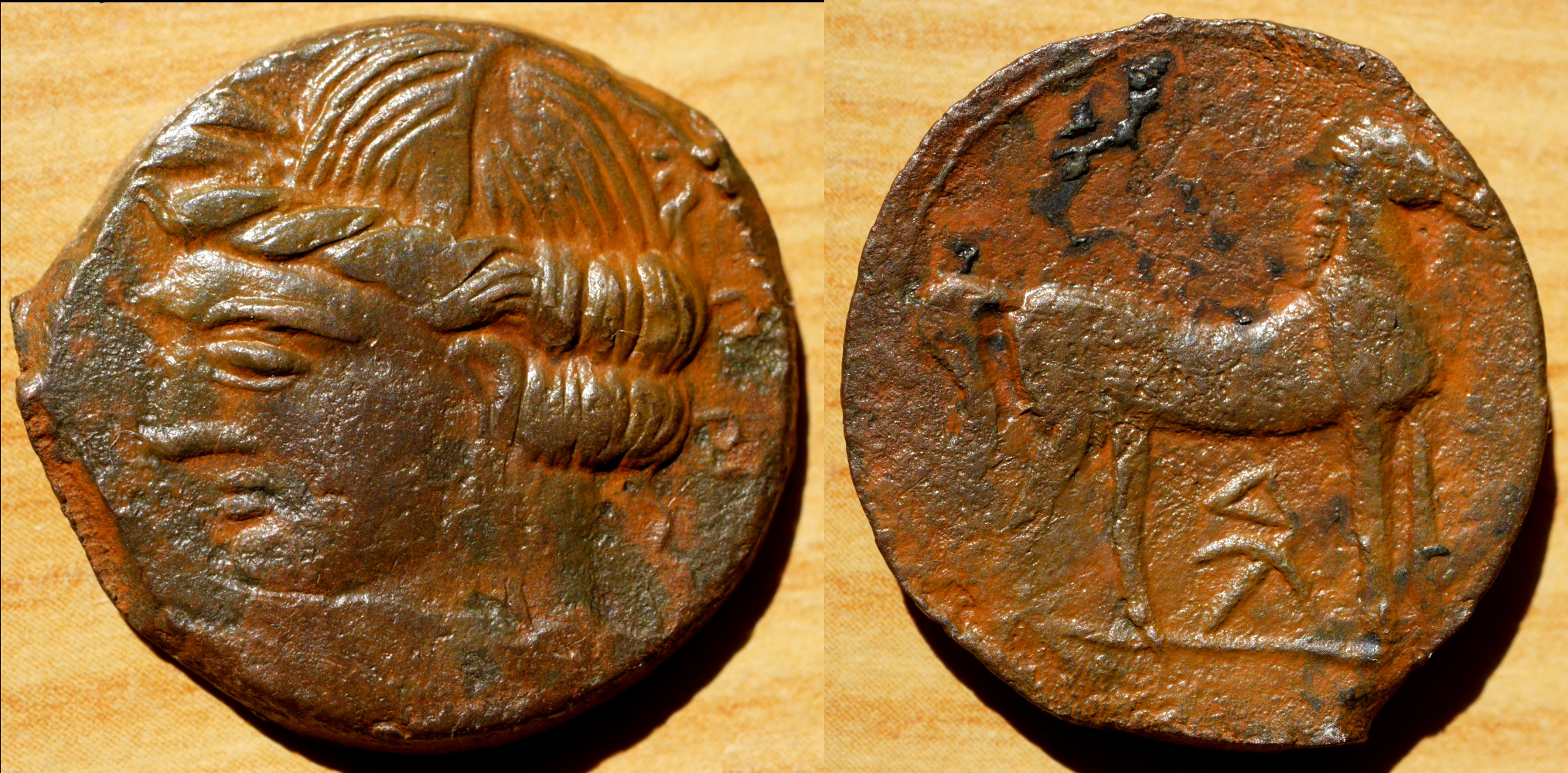 Punic Zeugitana Shekel Carthage , c. 264-241 BC; AE (g 7.12; mm 23)