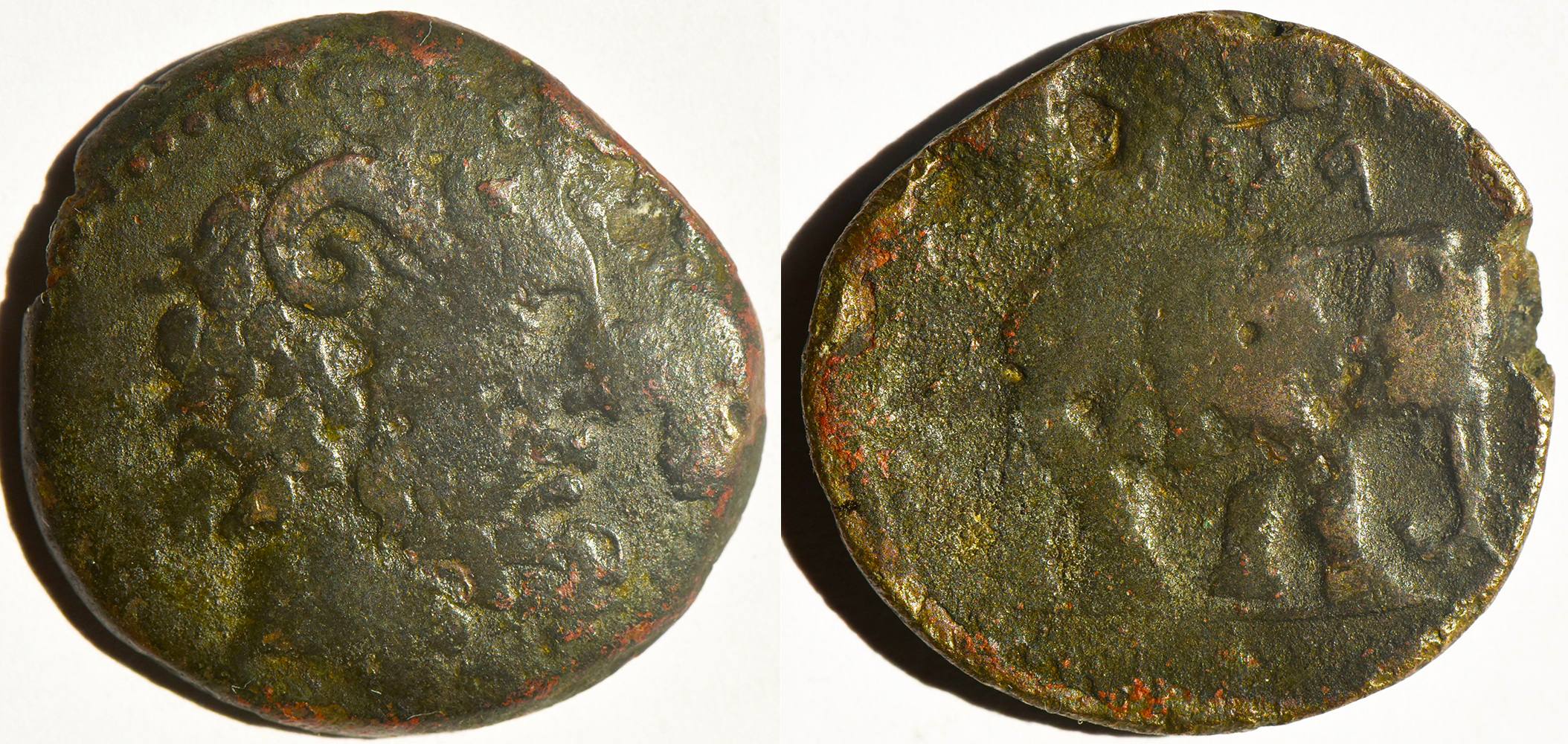 KINGS of NUMIDIA, Juba I , AE28. Circa 60-46 BC. Zeus Ammon/Elephant. Rare.