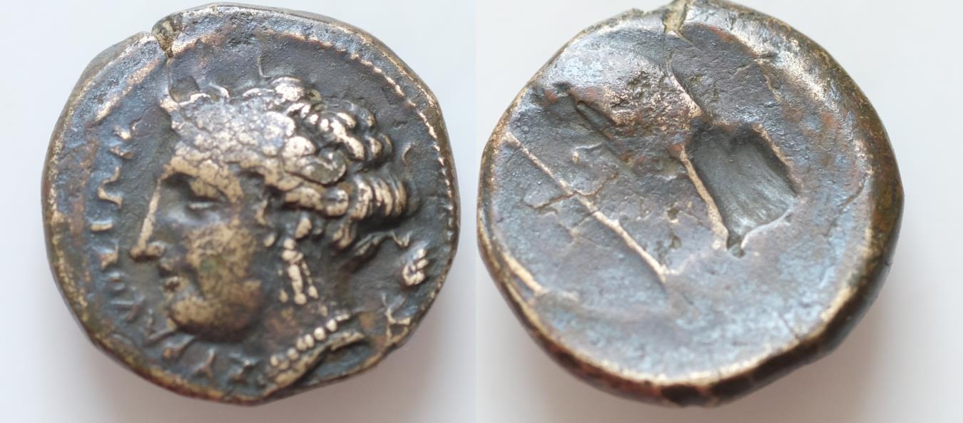 Sicily, Syracuse Æ 15mm 3g. 317-289 BC. ??? Head of Persephone left ...