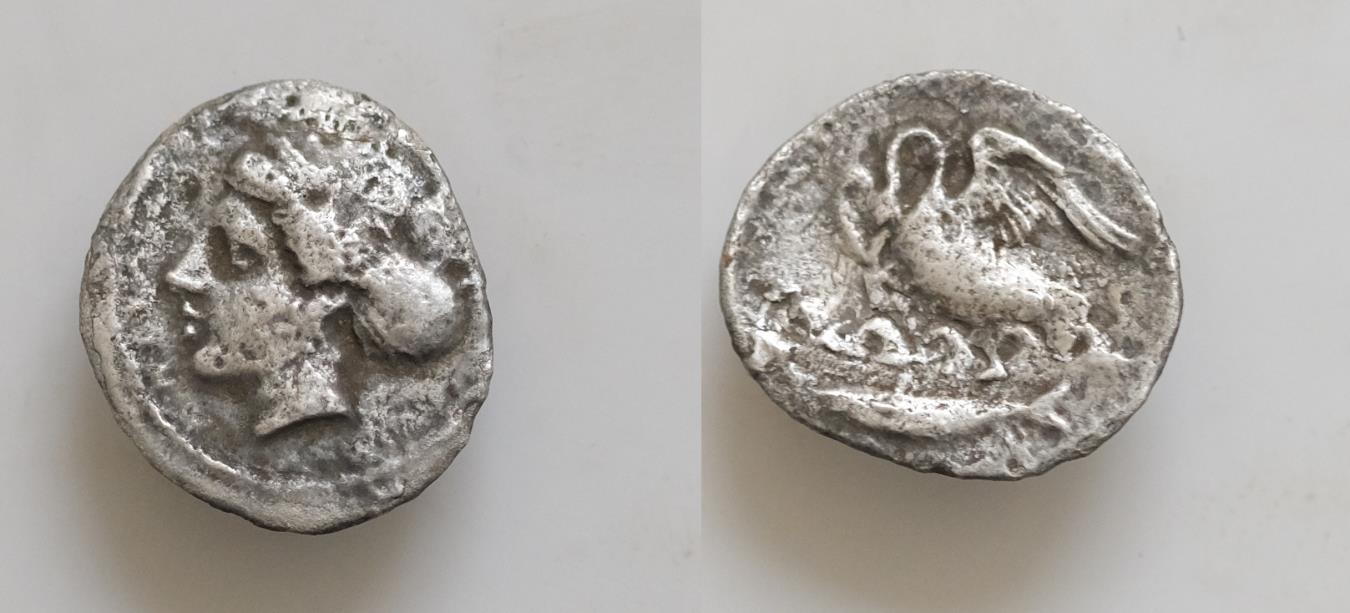 Sicily, Kamarina, c. 410-405 BC. AR Litra (11mm, 0.6g, ). Head of ...