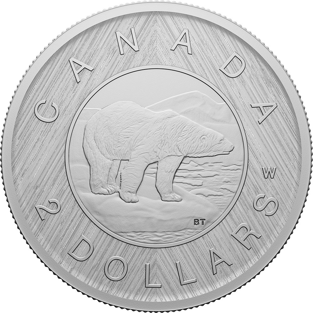 Canadian Coins Black And White