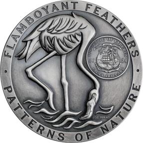 FLAMINGOS Patterns of Nature 5 Oz Silver Coin 50$ Liberia 2025