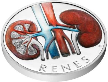 KIDNEYS Human Body 1 Oz Silver Coin 1$ Niue 2025 | Mints