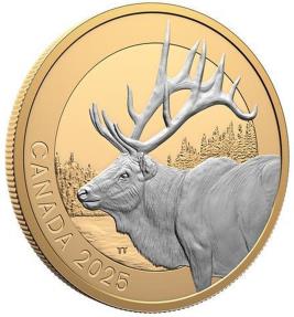 ELK Animal Portraits Silver Coin 20$ Canada 2025 | Mints