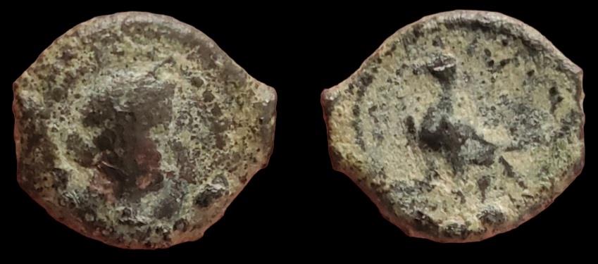 Ptolemaic Kings of Egypt Arsinoe III, wife of Ptolemy IV 221-205 B.C ...