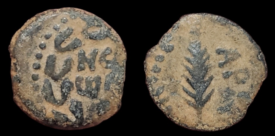 Judean Procurator Under Nero, Porcius Festus AE Prutah Palm Frond ...