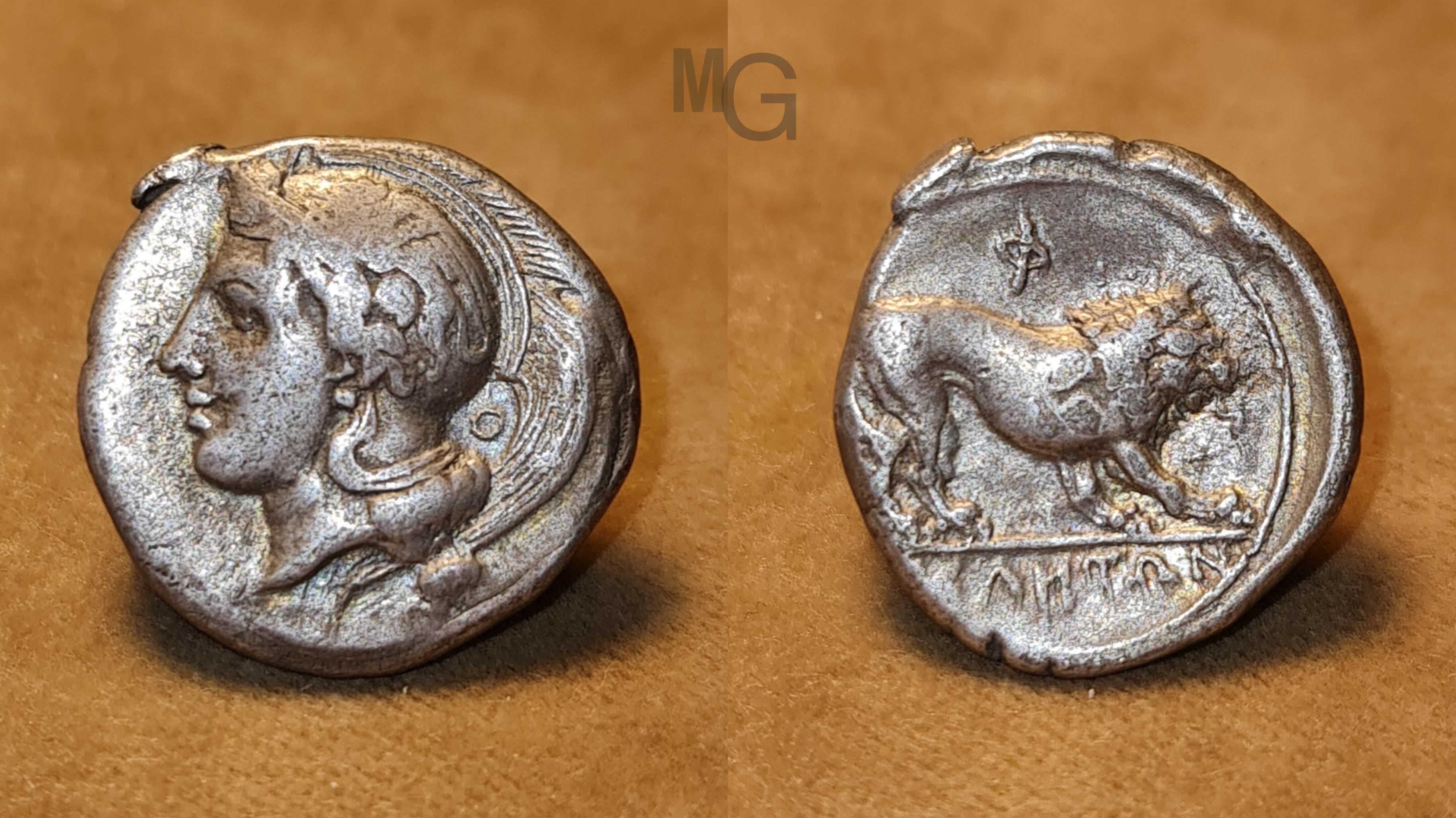 LUCANIA. Velia. Circa 340-334 BC. Nomos. AR Didrachm. | Greek Coins