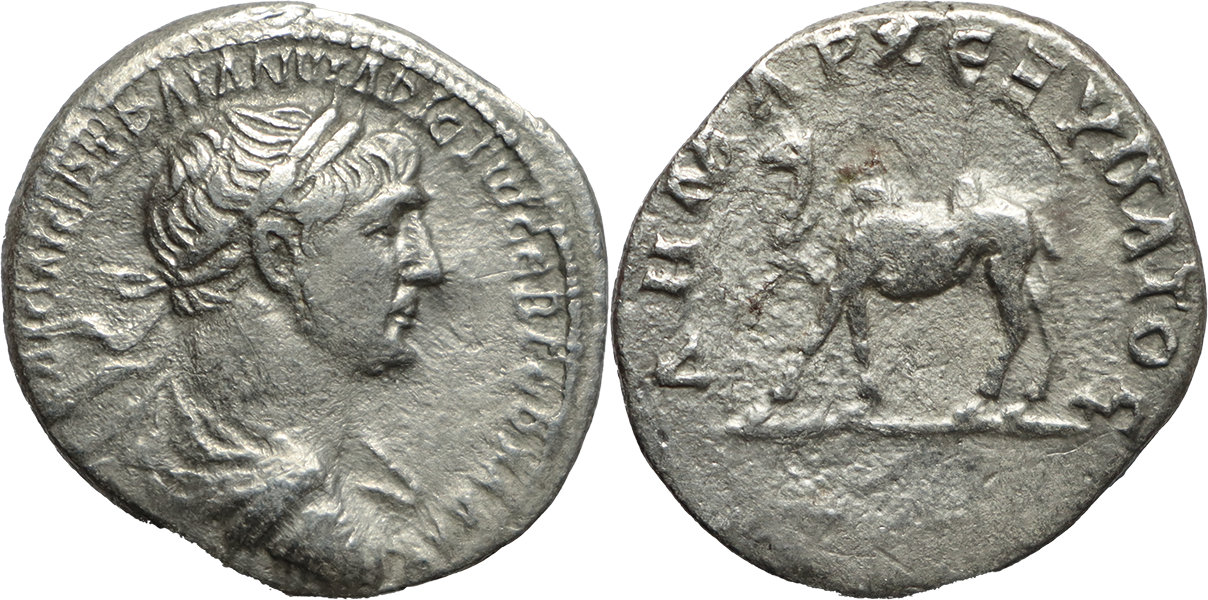 Roman silver drachm of the Emperor Trajan - Camel | Roman Imperial Coins
