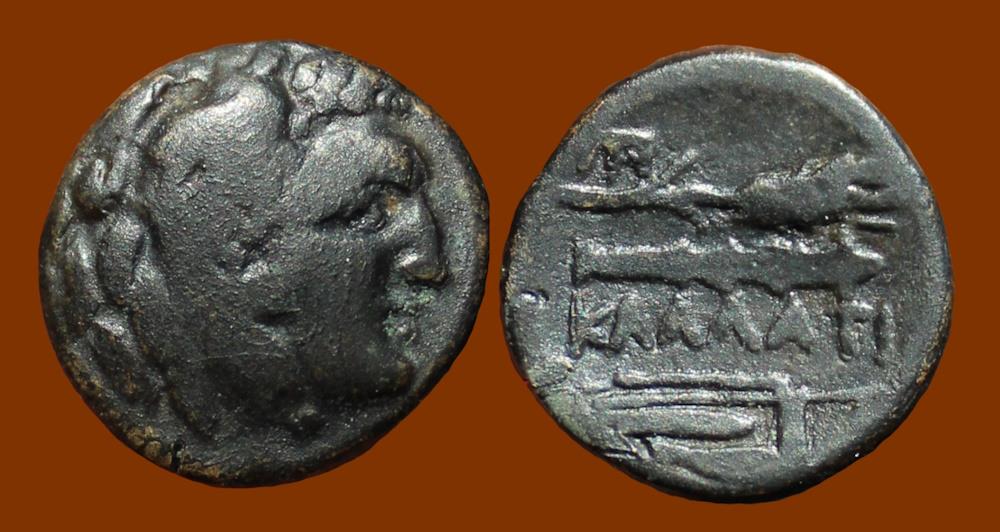 Kallatis, AE Drachm, Interesting Find! | Greek Coins