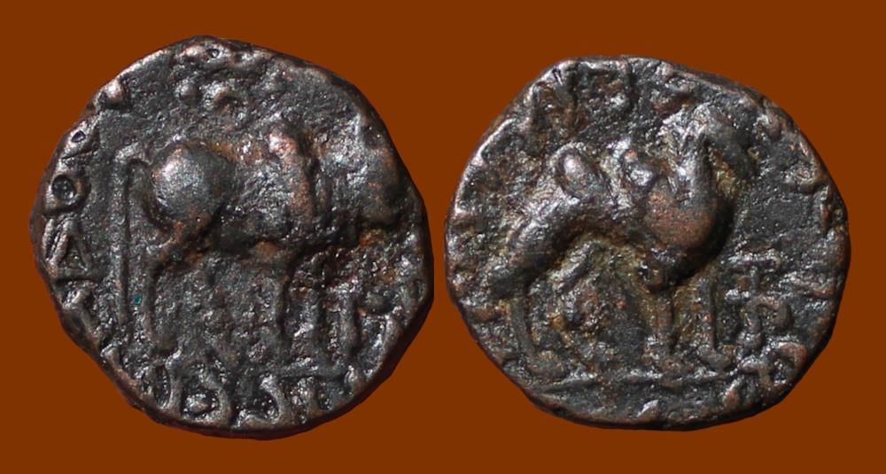 Vima Takto, AE drachm. Zebu and Bactrian Camel. See Notes. | Ancient Coins