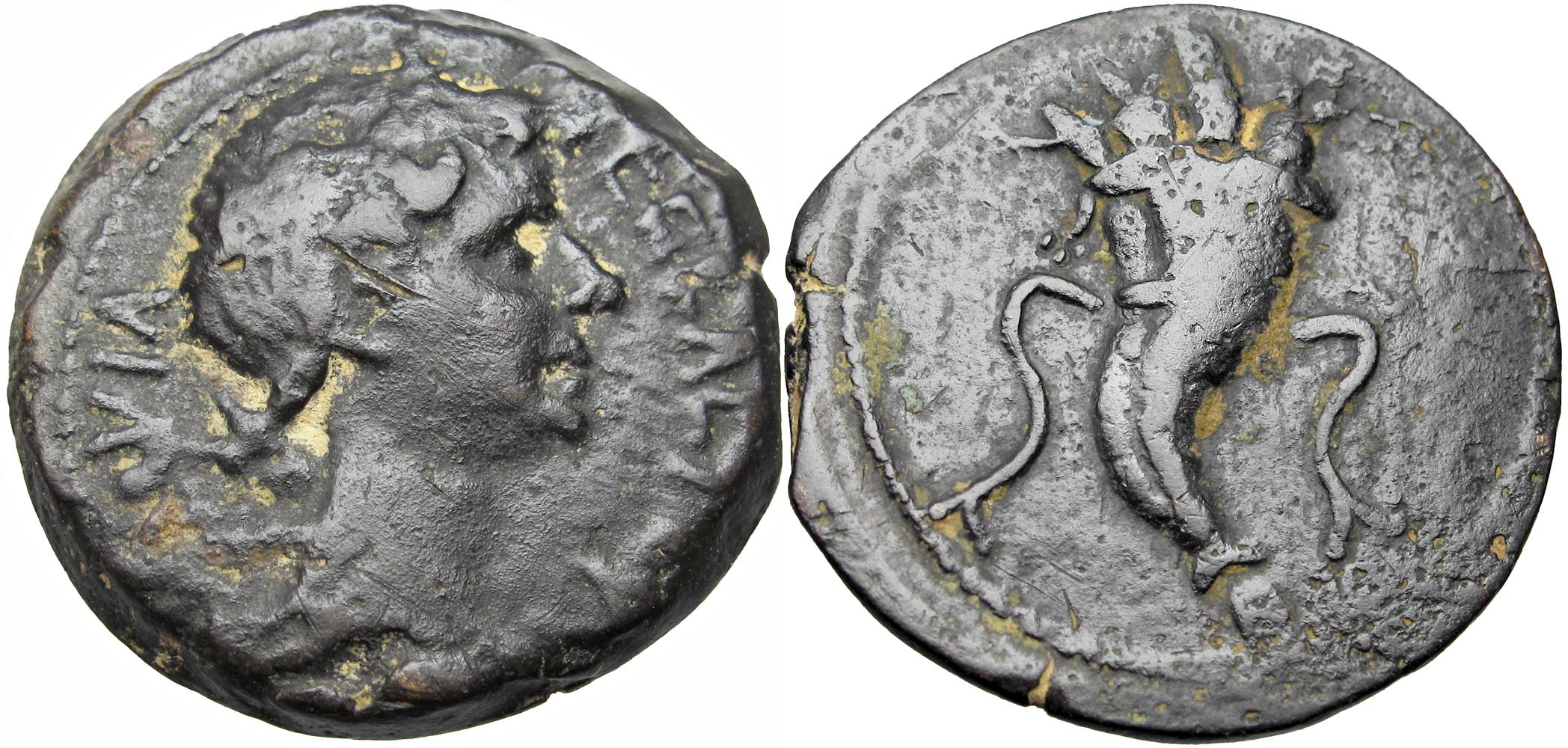 Extremely Rare, EGYPT, Alexandria Julia Augusta ,Livia. As wife of ...