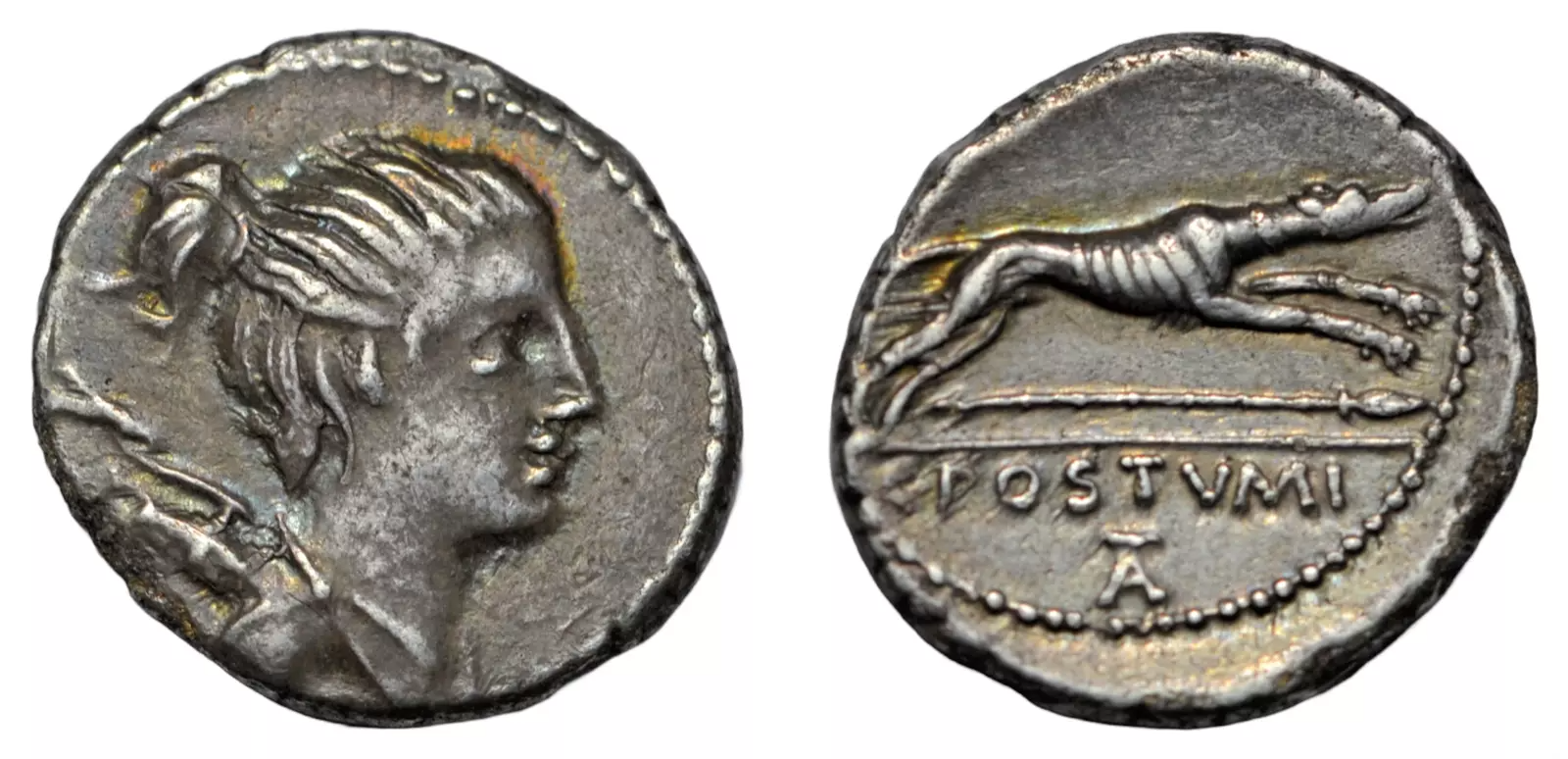 Roman Republic, C. Postumius, AR denarius, Rome 74 BC Diana/Hound, as ...