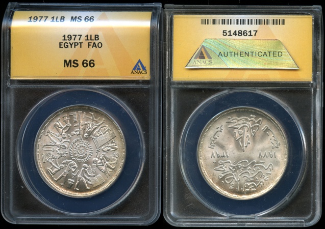 1977 Egypt 1 Pound FAO Silver Commemorative ANACS MS66 | African Coins