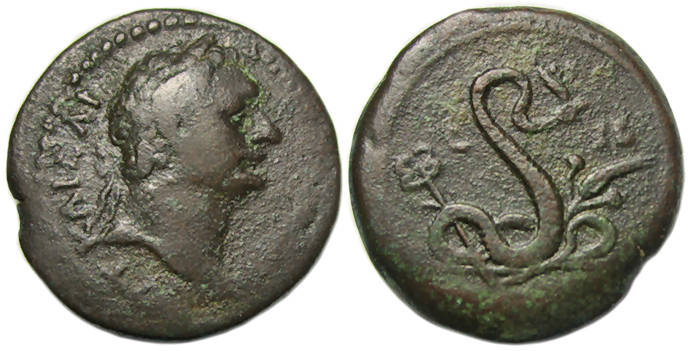 Domitian Ae Diobol : Alexandria Egypt : Agathodaemon Serpent | Roman ...
