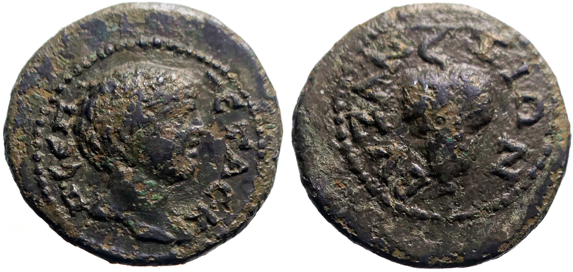 Geta as Caesar AE23 Byzantion. Grape Cluster | Roman Imperial Coins