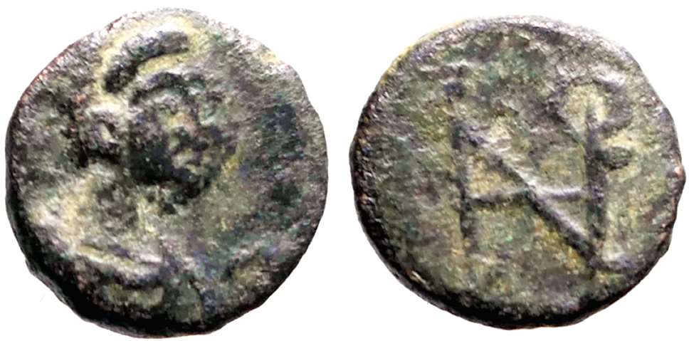 Zeno AE10.5 Nummus. Constantinople | Roman Imperial Coins