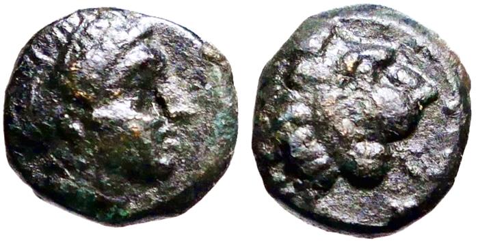 Troas Antandros Ae8 5 Apollo Head Of Roaring Lion Greek Coins