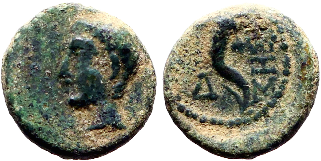 Augustus AE13 Thrace, Sestos. Cornucopia | Roman Imperial Coins